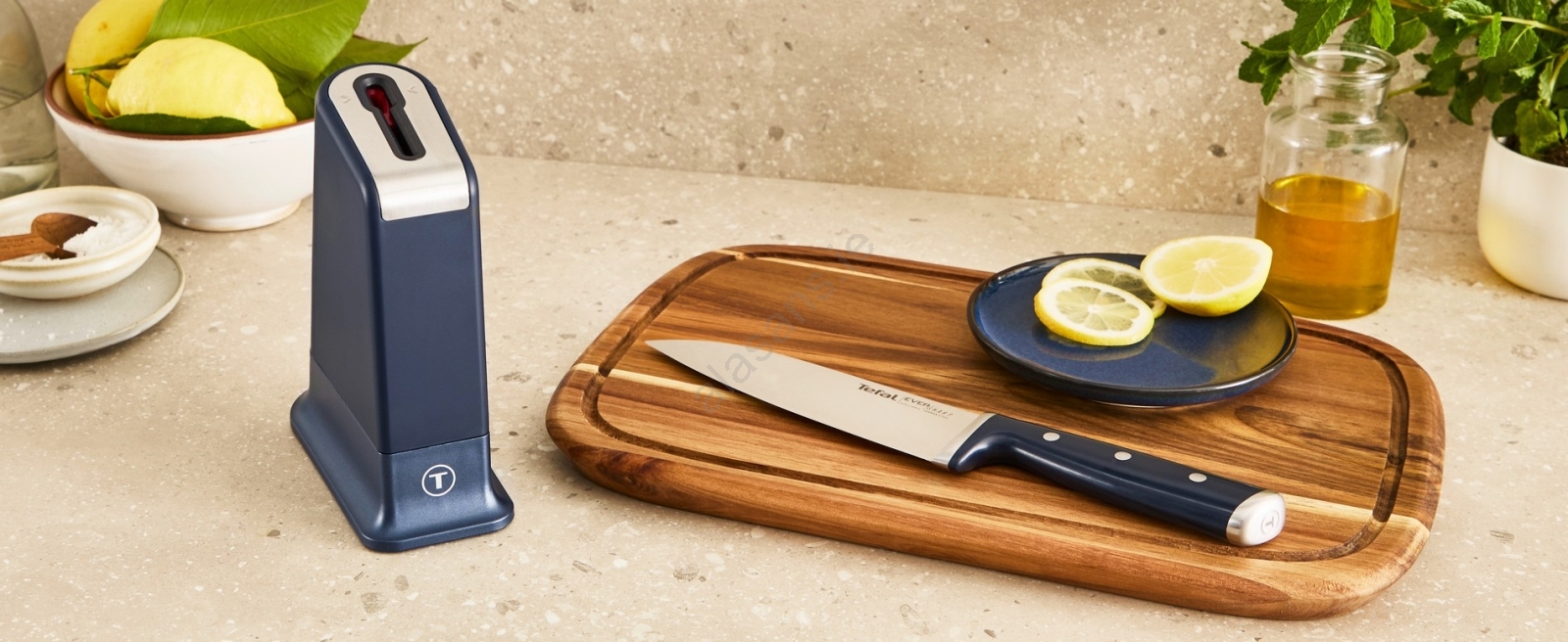 Tefal - EVER SHARP 20 cm Kitchen Knife with Stand | Alasans